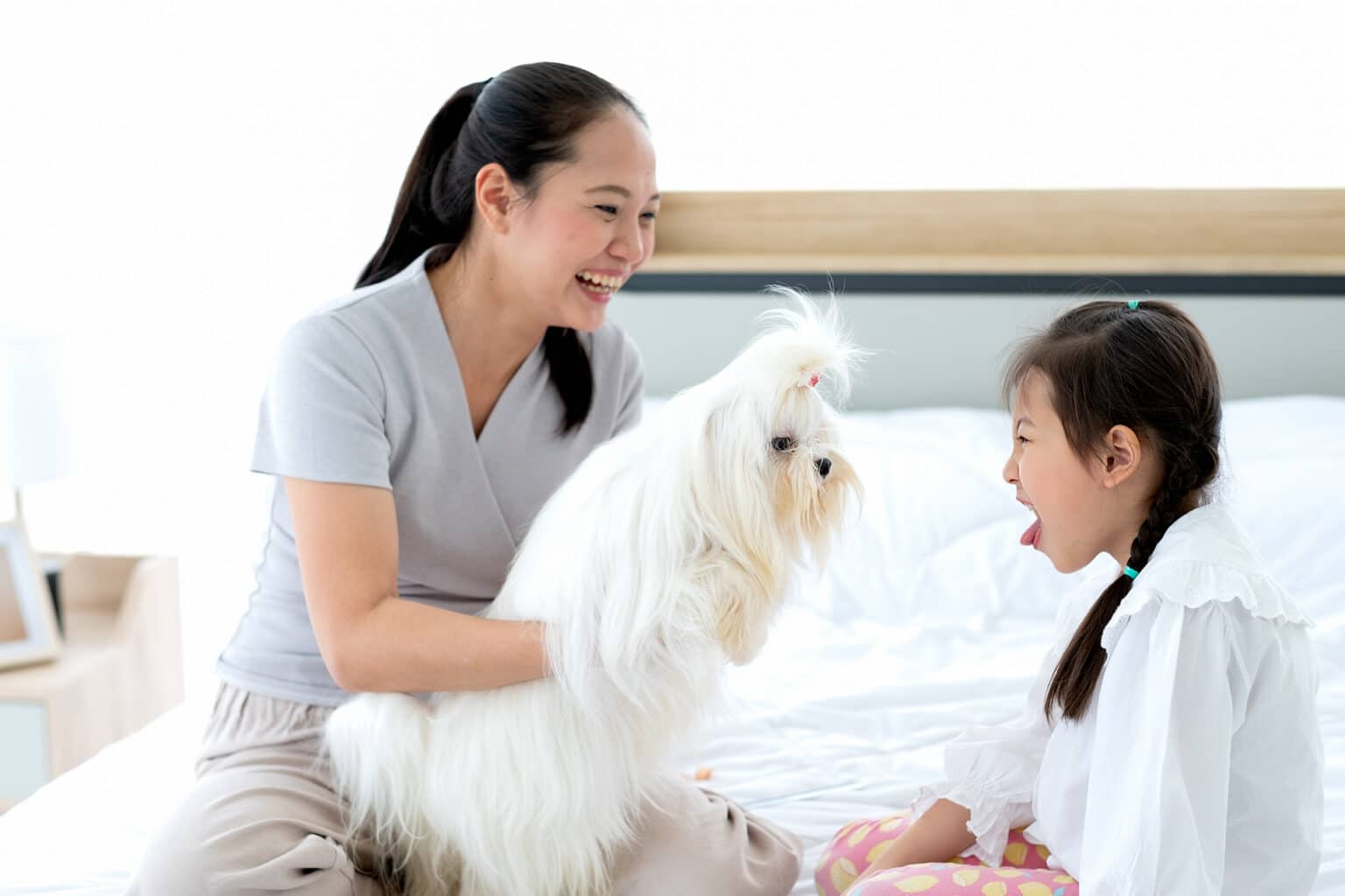 Long-term vs. Short-term Condo Rentals in Bangkok